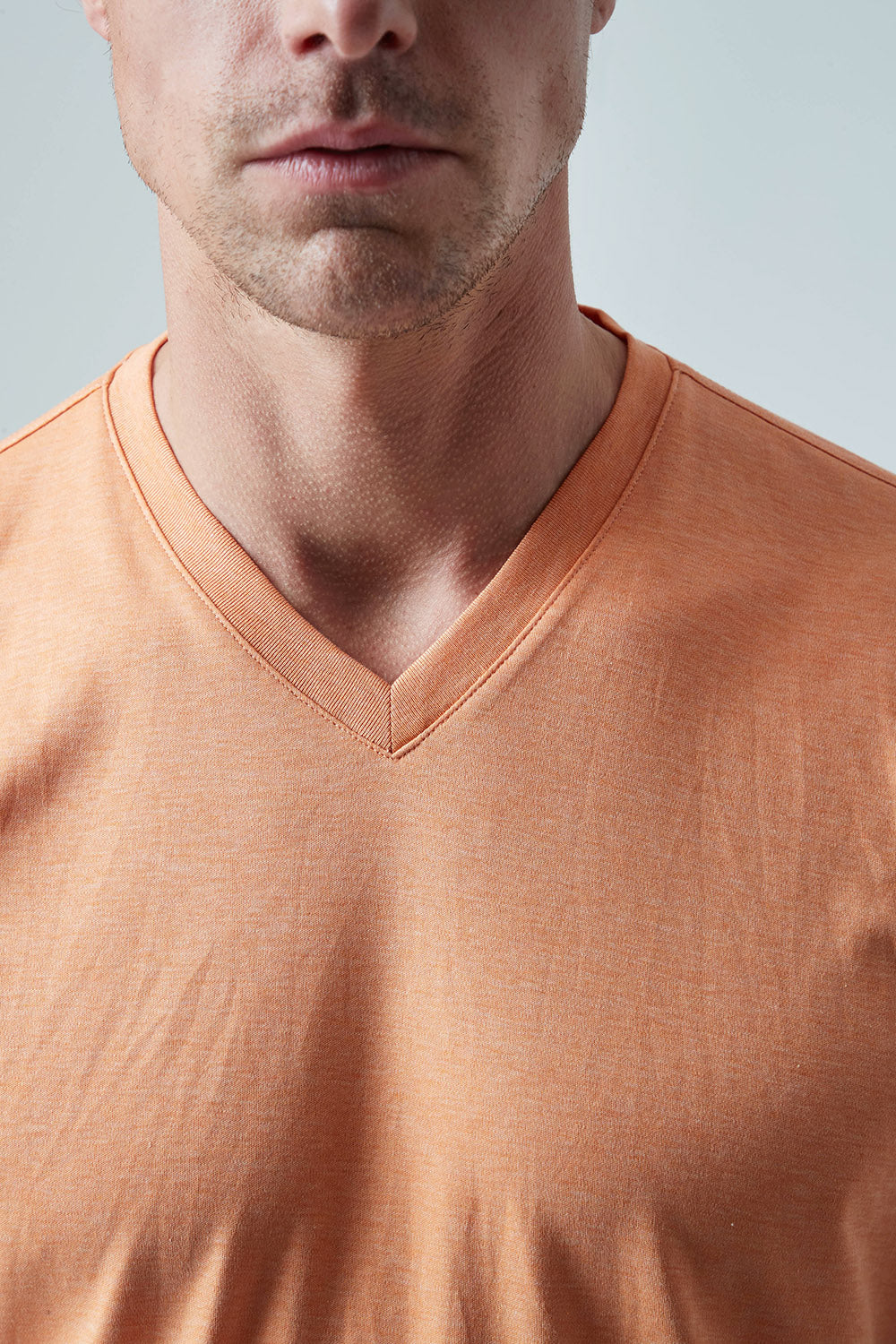 THE NOAH – Raffi Online